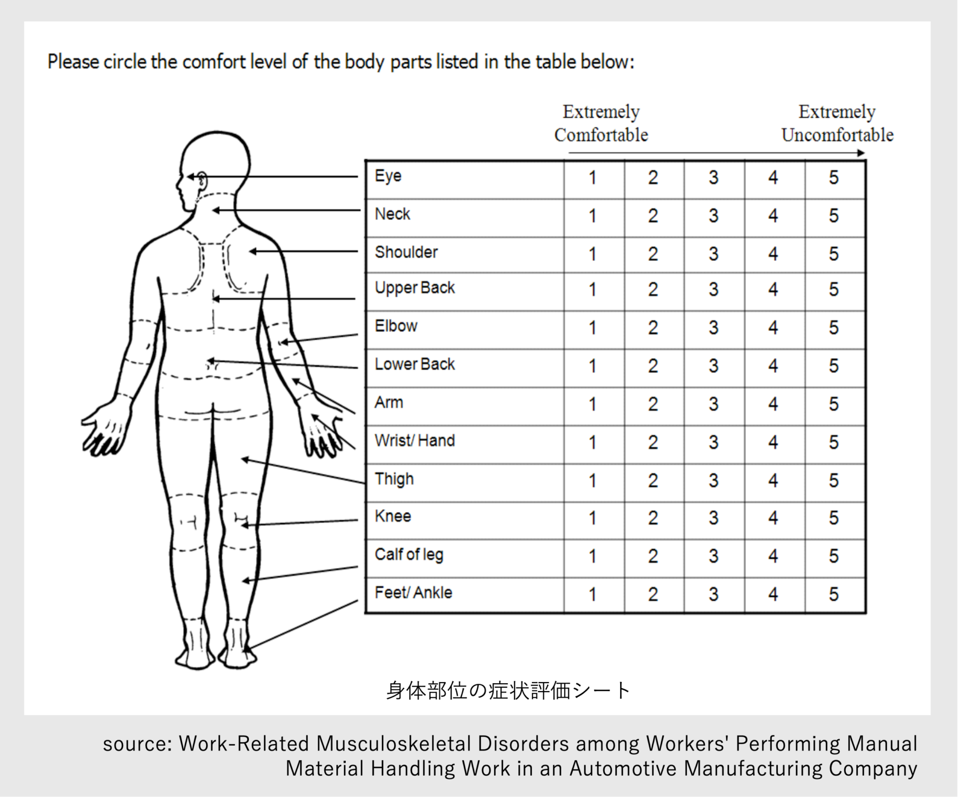 自動車工場における筋骨格系疾患（MSD）の実態調査と職場環境改善 - 立ち仕事のミカタ